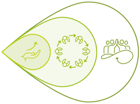 Visionance, coaching en entreprise à Lyon par Mireille Mansuy